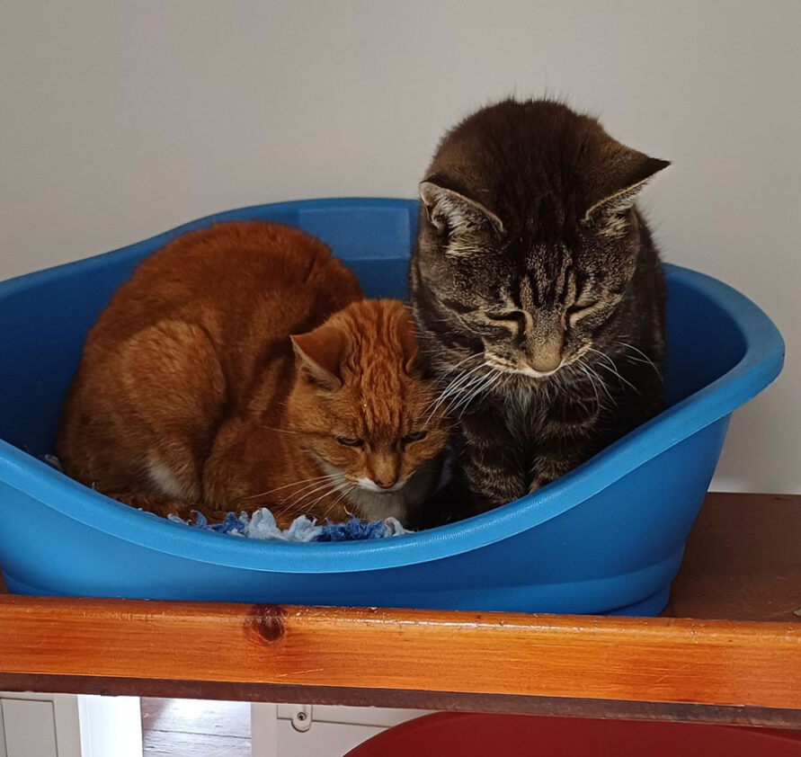 thegablescattery.co.uk